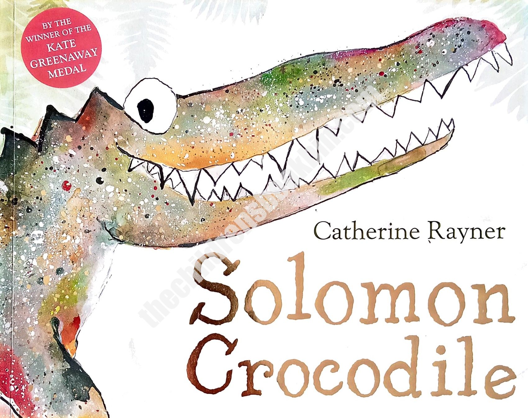 Solomon Crocodile: A Picture Book - The Children's Book Bin